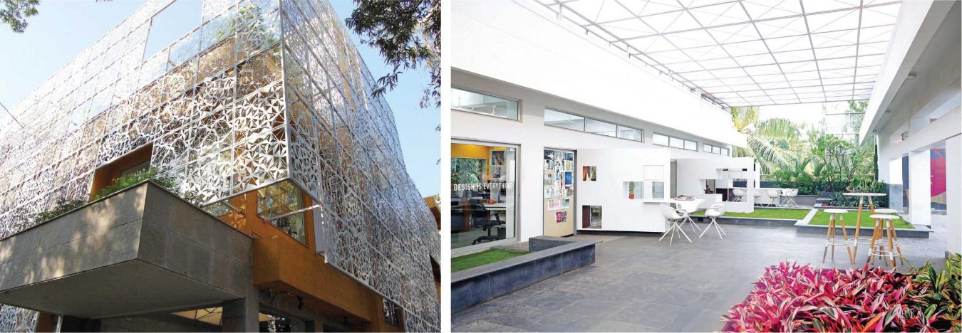 Walking Tree New Identity, New Beginnings - Solitaire magazine is a ...