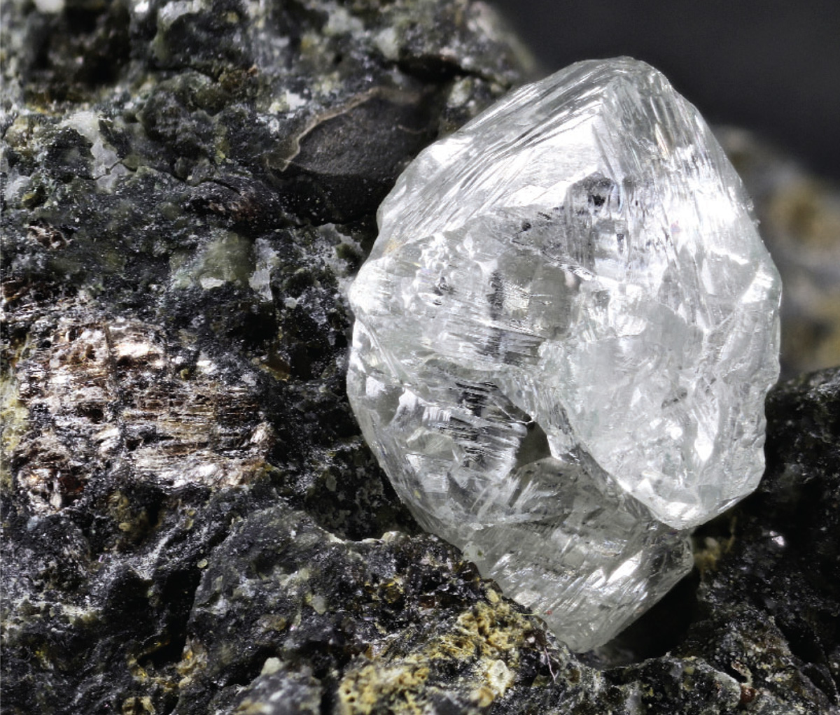 WORLD DIAMOND COUNCIL’S SoW ENCOURAGES SELF-REGULATION - Solitaire ...