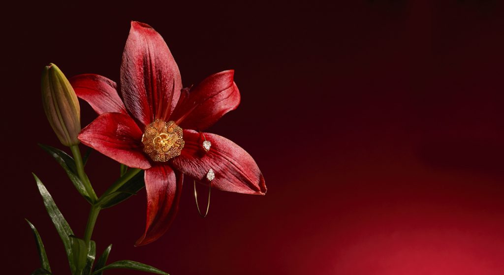 Gold Expressions - Solitaire magazine is a International jewellery ...