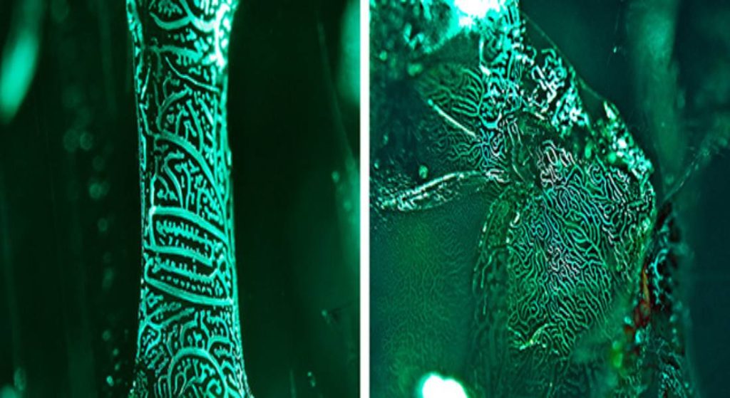 Fracture-Filled Emerald with Mysterious Filler Patterns - Solitaire ...